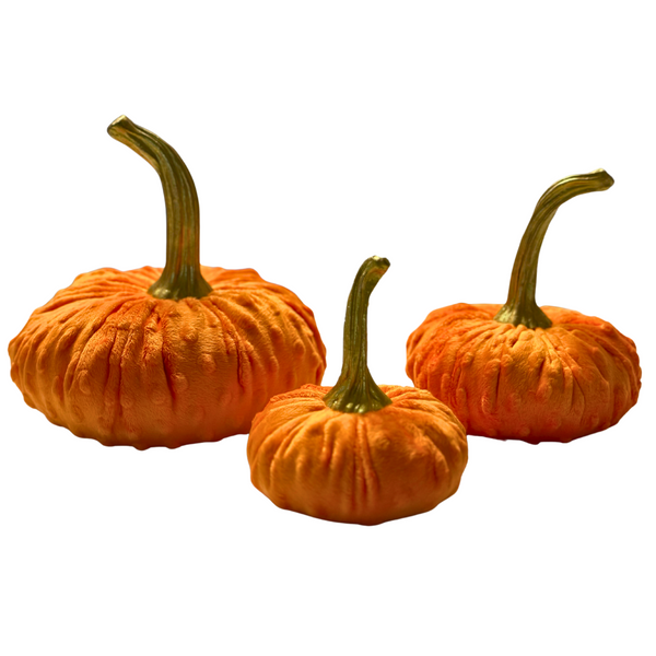 Handmade Nubby Velvet Pumpkins with Gold Stems, Orange | Monogram Market